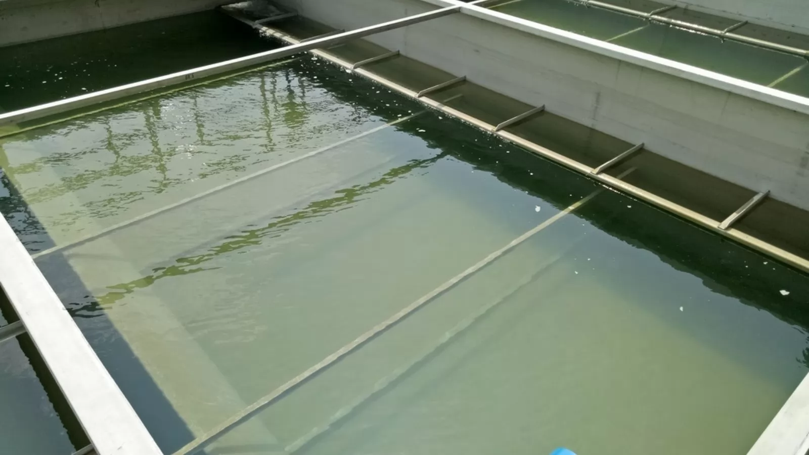 Everything You Need to Know About Packaged Water Treatment Systems - Weilan