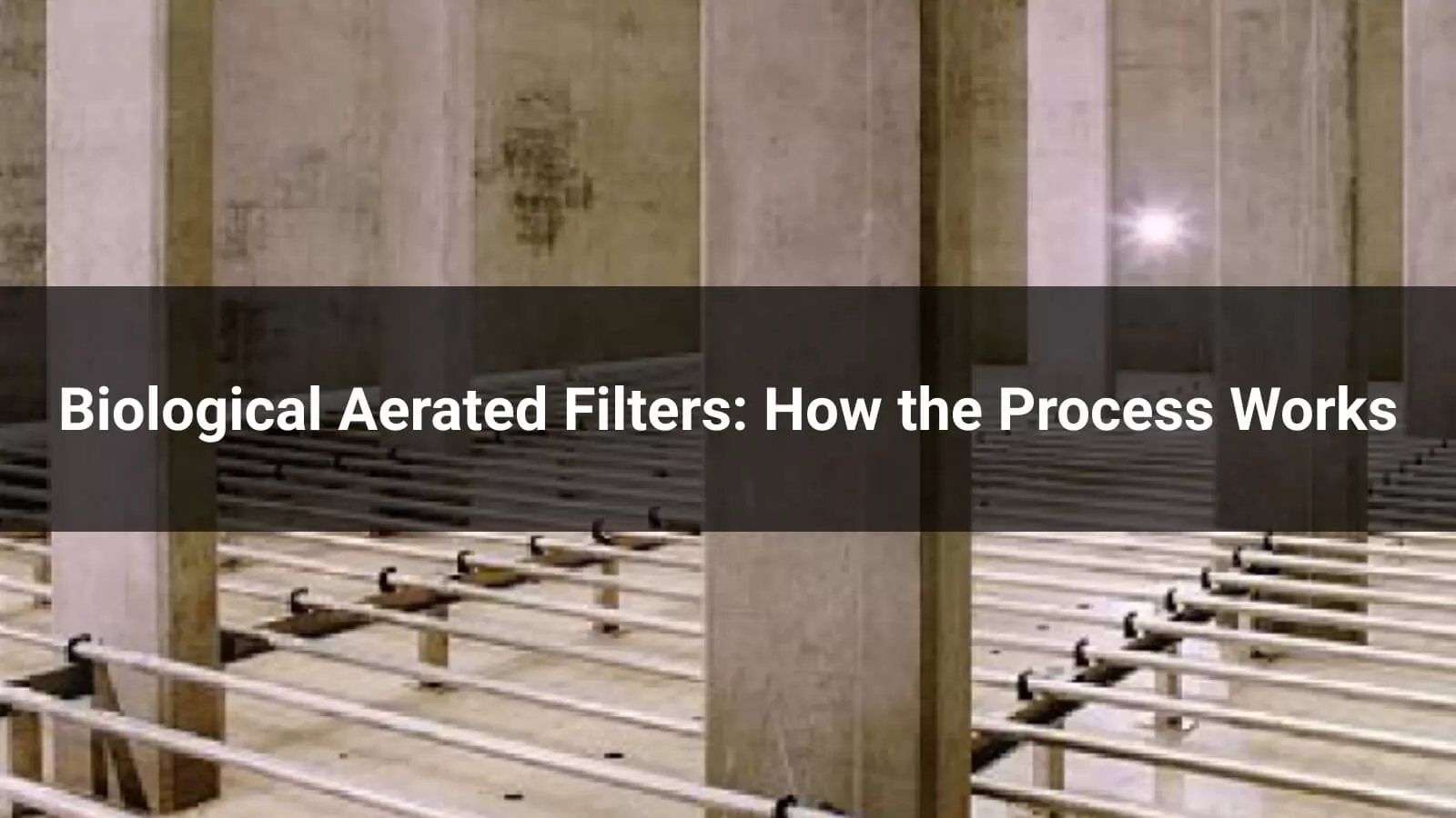 Biological Aerated Filters: How the Process Works - Weilan